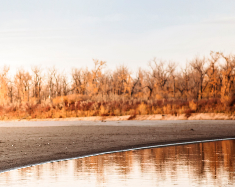 Clearance – Born Resilient